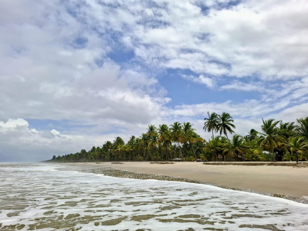 10 Interesting Facts About Ivory Coast