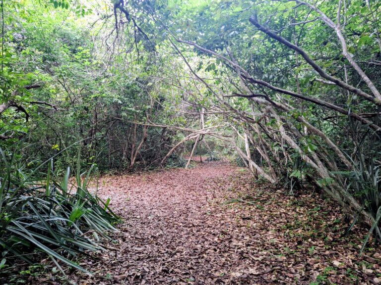 Assinie: Dream Beaches in Ivory Coast and Travel Guide