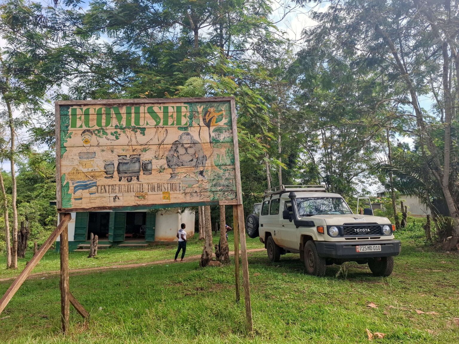 Visitez le Parc National de Taï en Côte d'Ivoire: guide 2026