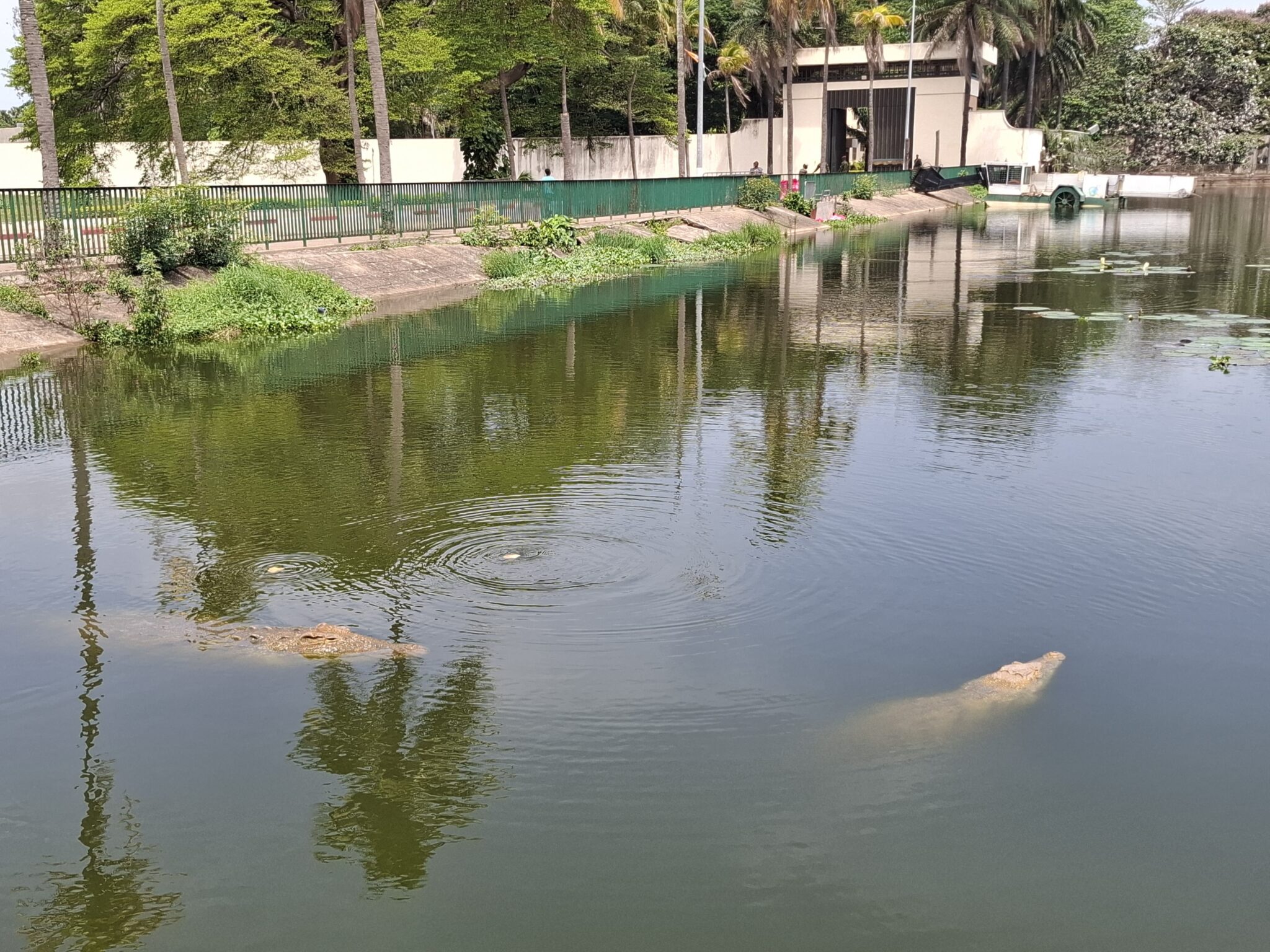 Yamoussoukro, Ivory Coast: Travel Guide and Tourism